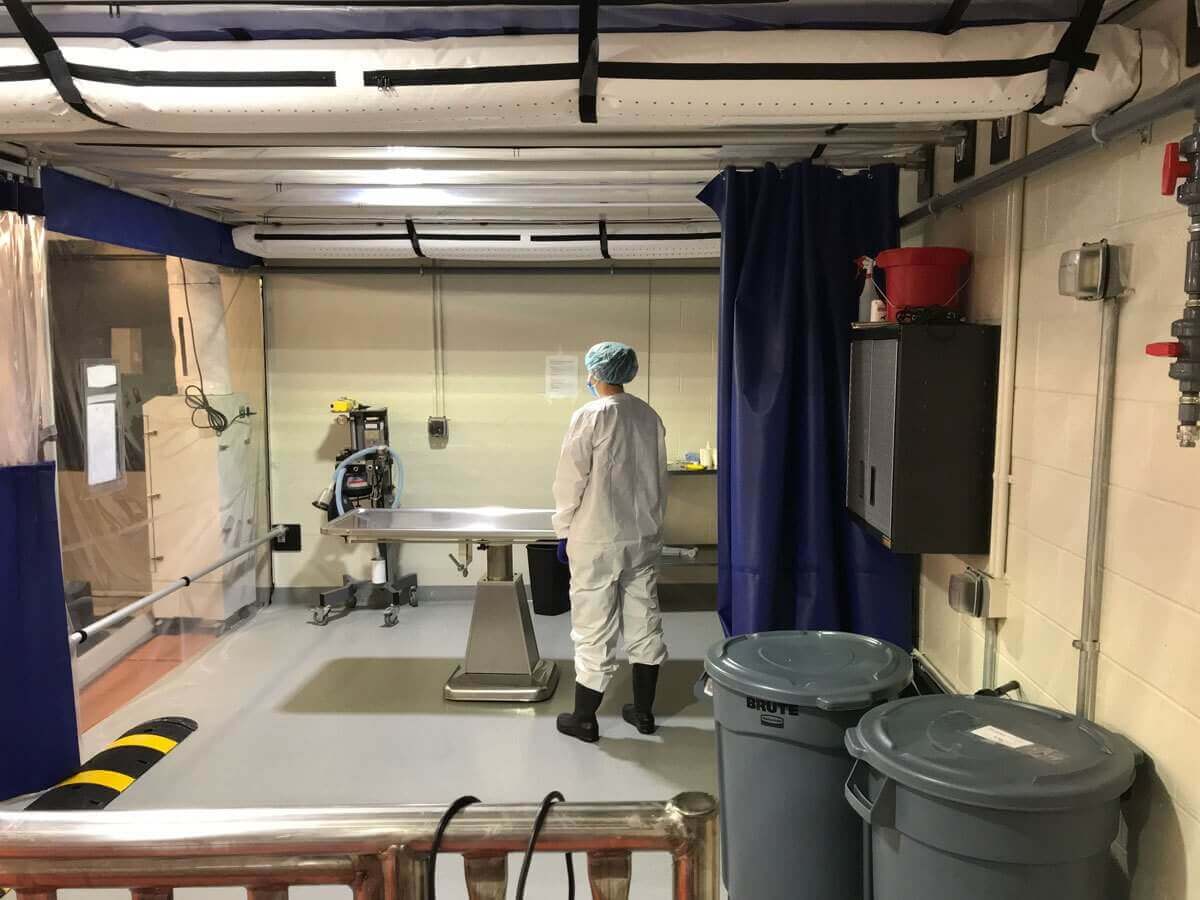 SCID Pig Laboratory Renovation Using bioBUBBLE Cleanrooms