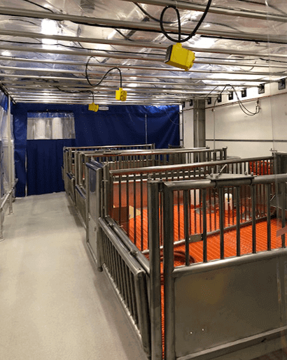 SCID Pig Laboratory Renovation Using bioBUBBLE Cleanrooms